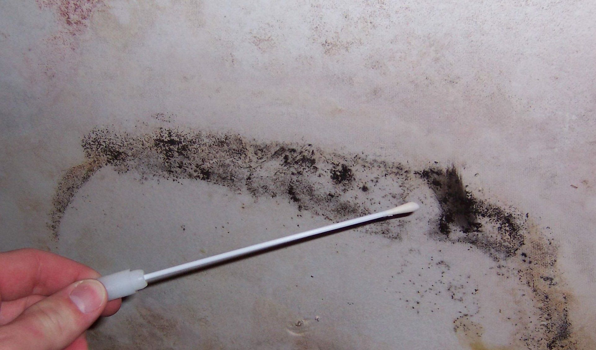 Surface Sampling Services in South Florida